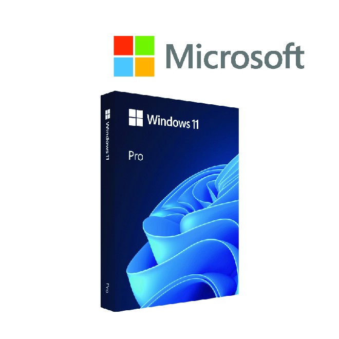 Windows 11 Pro HAV-00163 MS WIN PRO 11 64BIT ENG INTL USB FPP