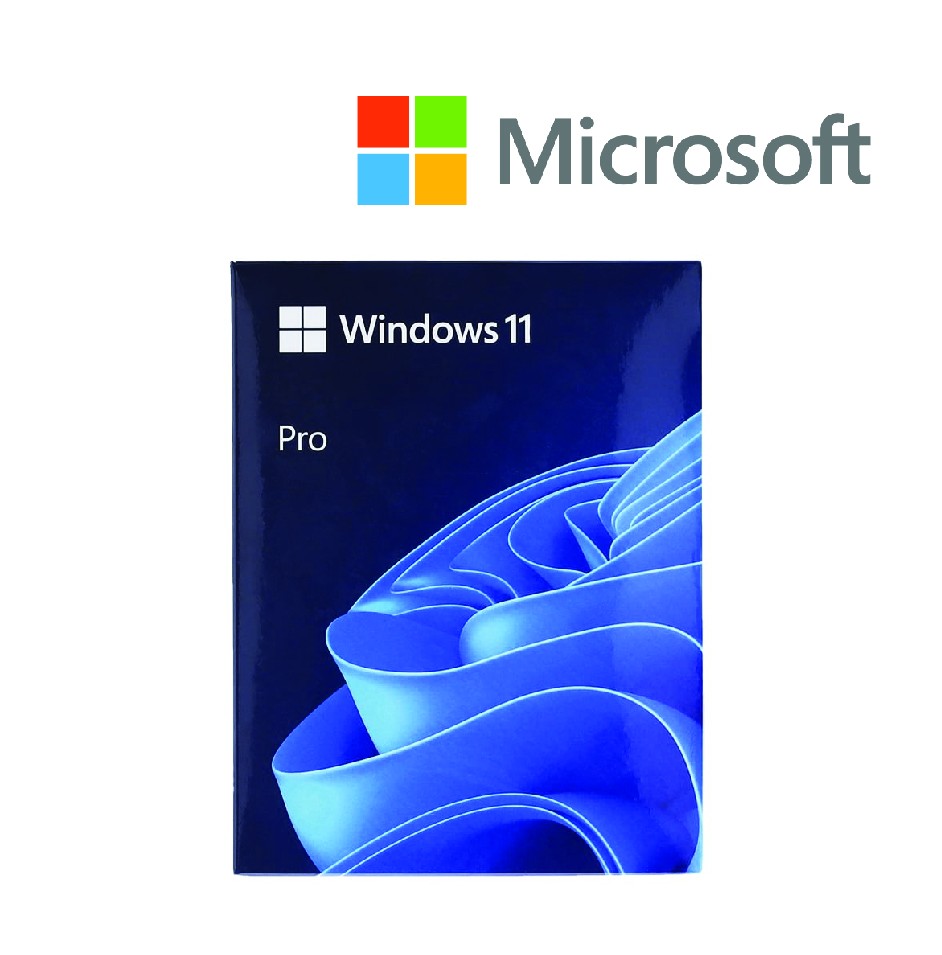 Windows 11 Pro HAV-00163 MS WIN PRO 11 64BIT ENG INTL USB FPP